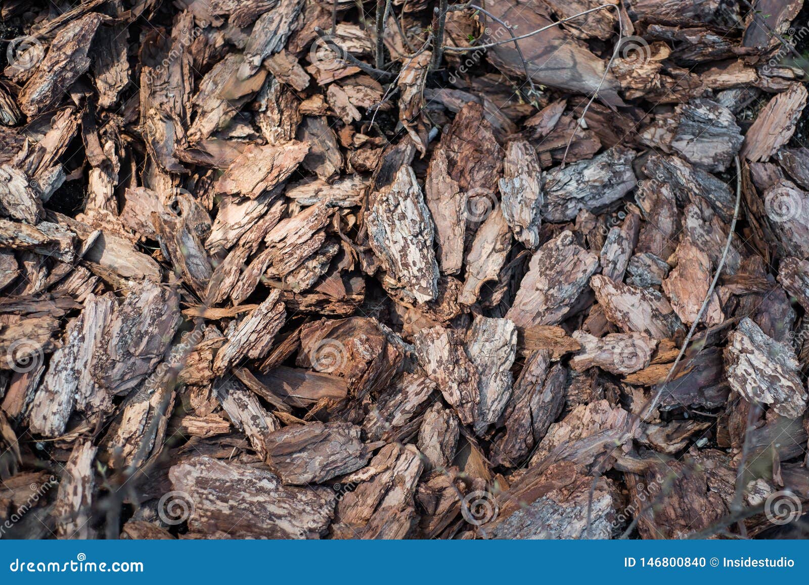 Clean, Fresh, Pine Bark Mulch Beautifully Illuminated by the Sun Stock ...
