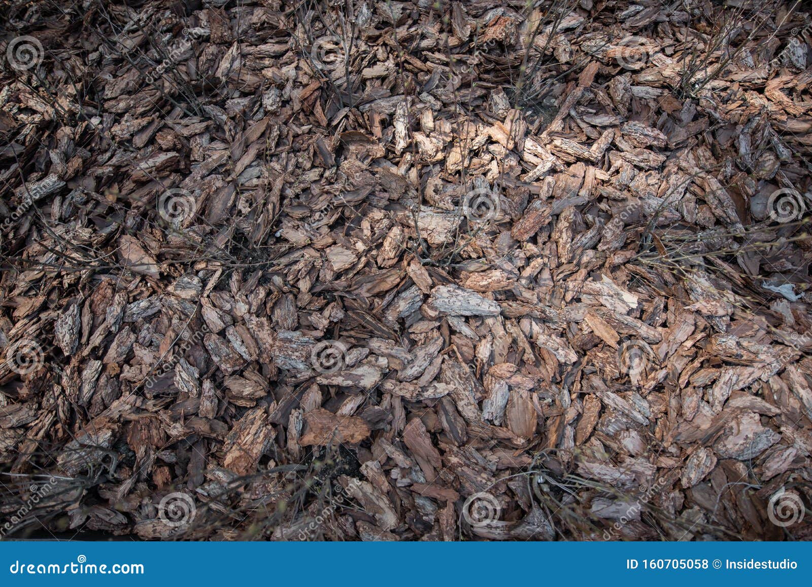 Clean, Fresh, Pine Bark Mulch Beautifully Illuminated by the Sun. Stock ...