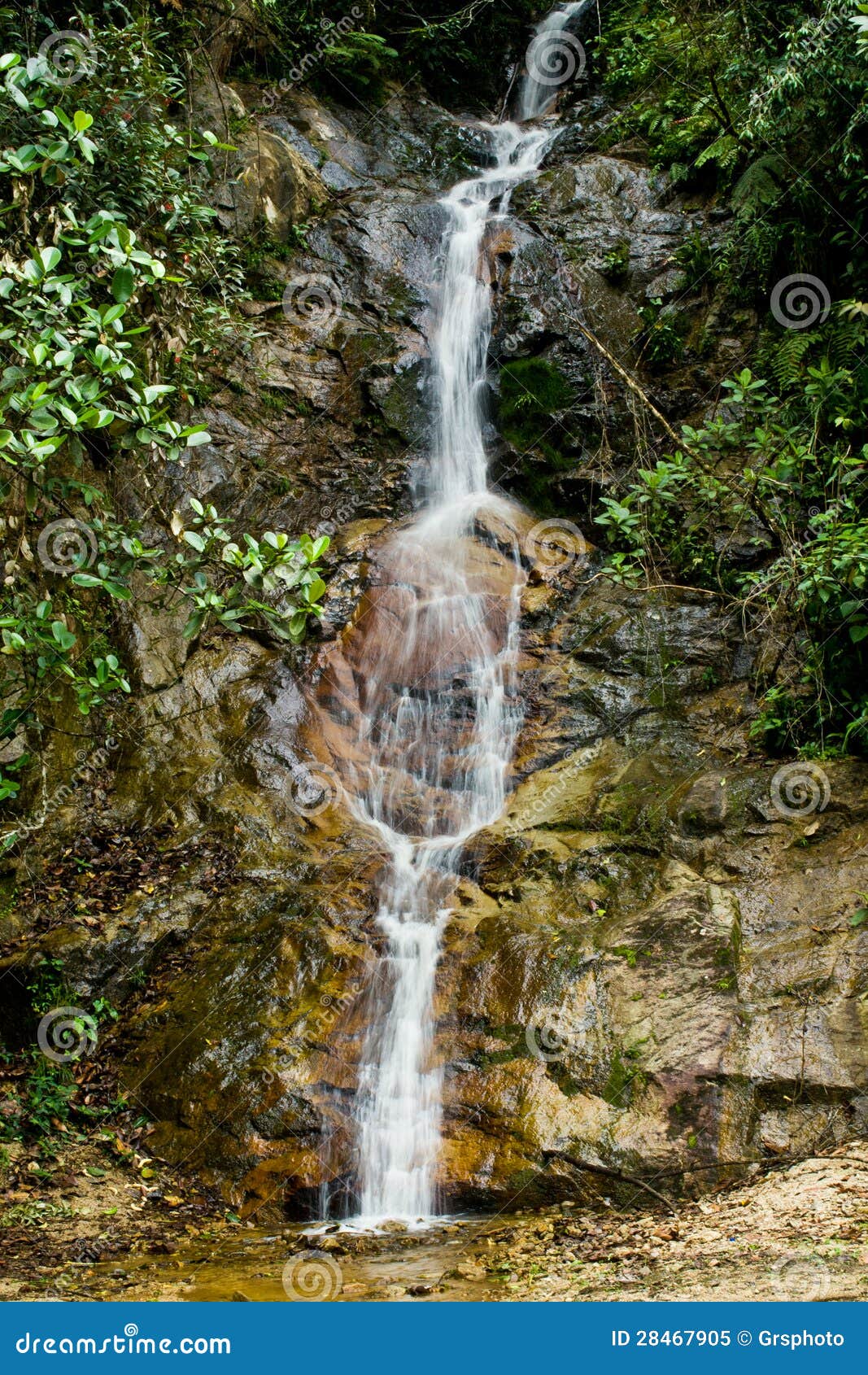 Clean Fresh Water Stream Flowing Stock Image - Image of green, moss ...