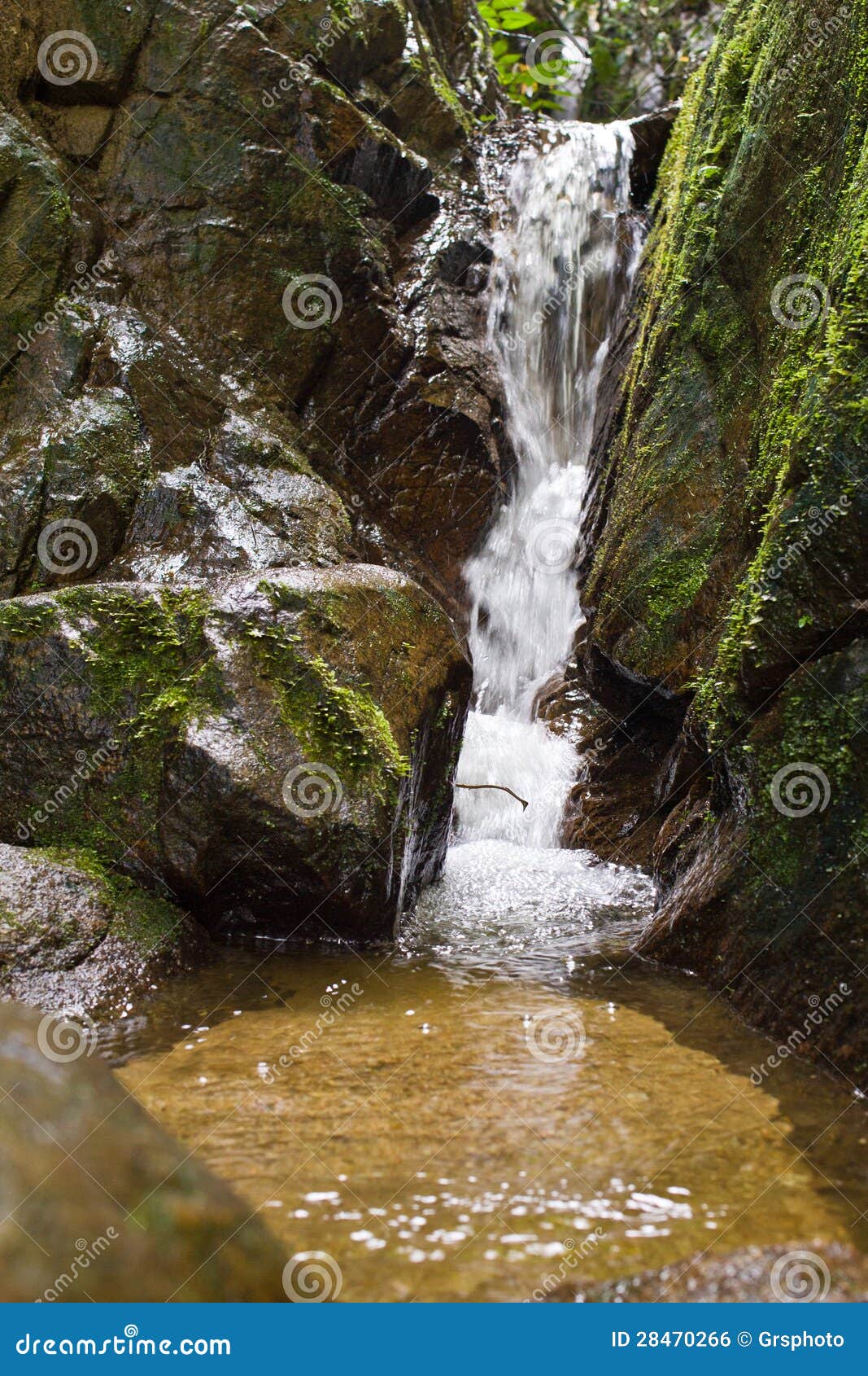 Clean Fresh Water Stream Flowing Stock Photo - Image of flow ...