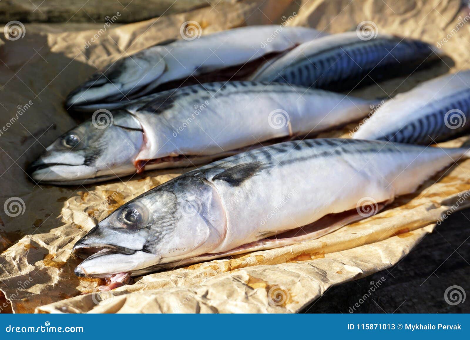 Clean and Gutted Mackerel Fish on a Paper Prepared for Cooking Stock ...