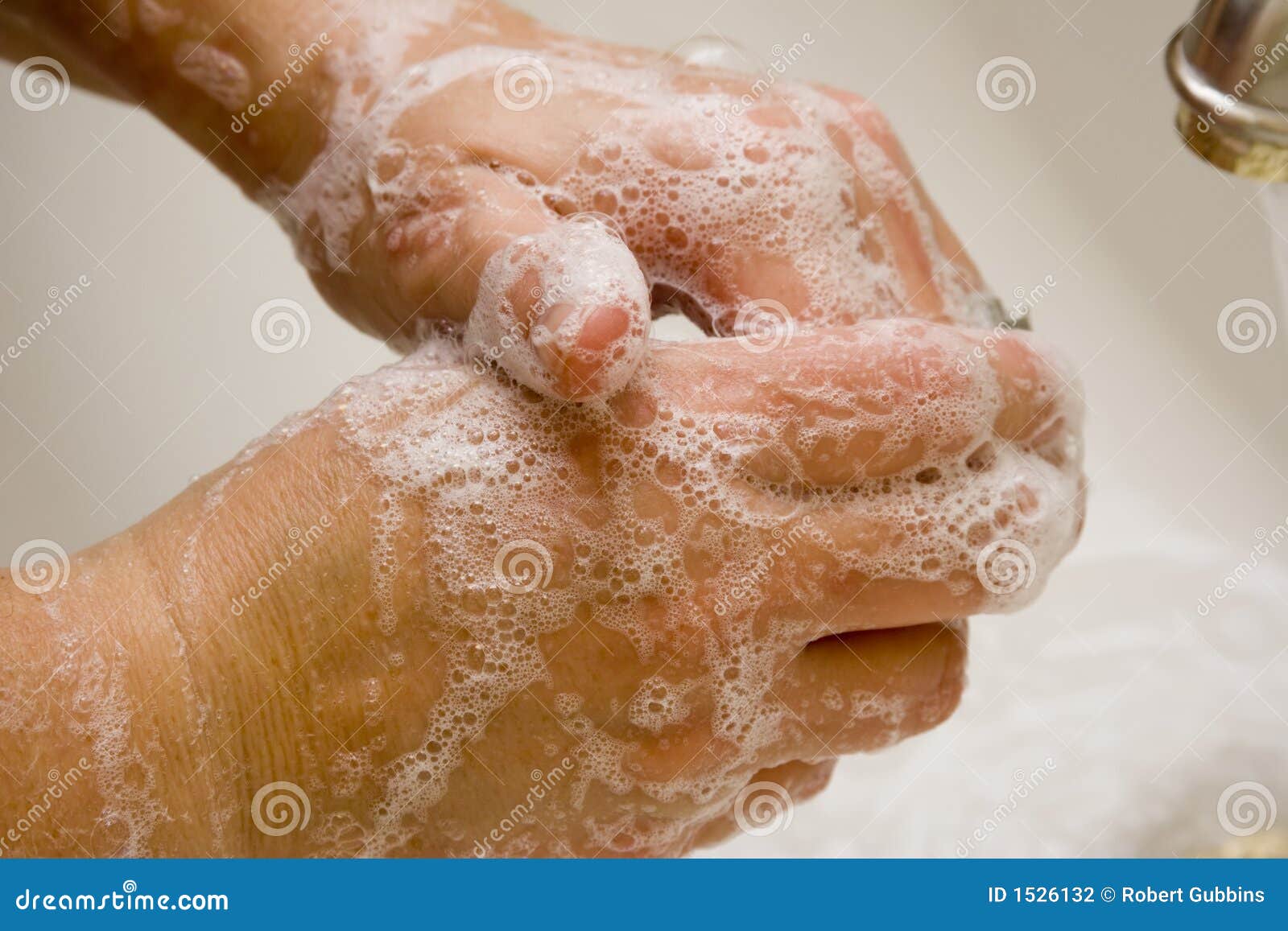 Clean hands stock photo. Image of foamy, clean, drain - 1526132