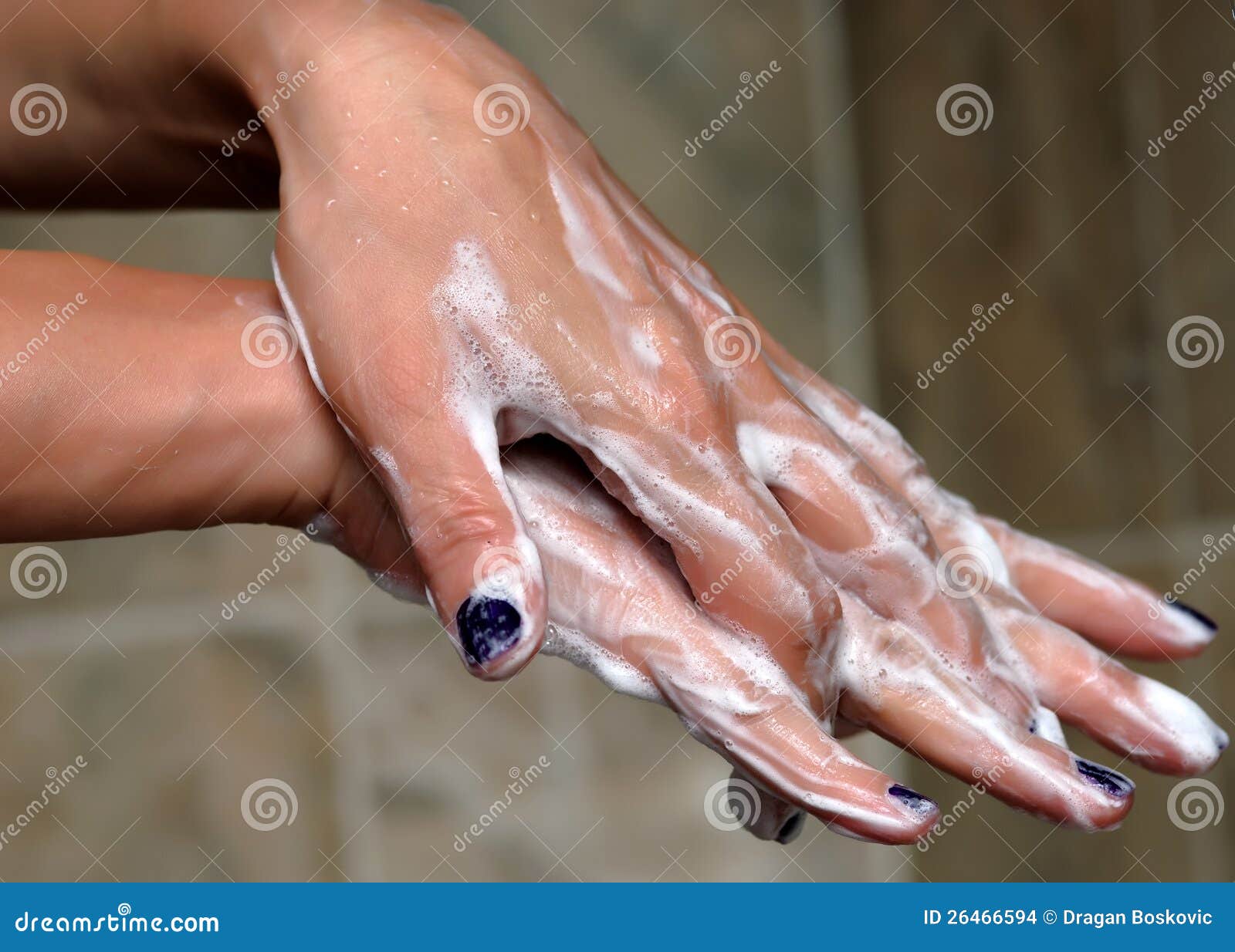Clean hands stock photo. Image of healthy, foam, bathroom - 26466594