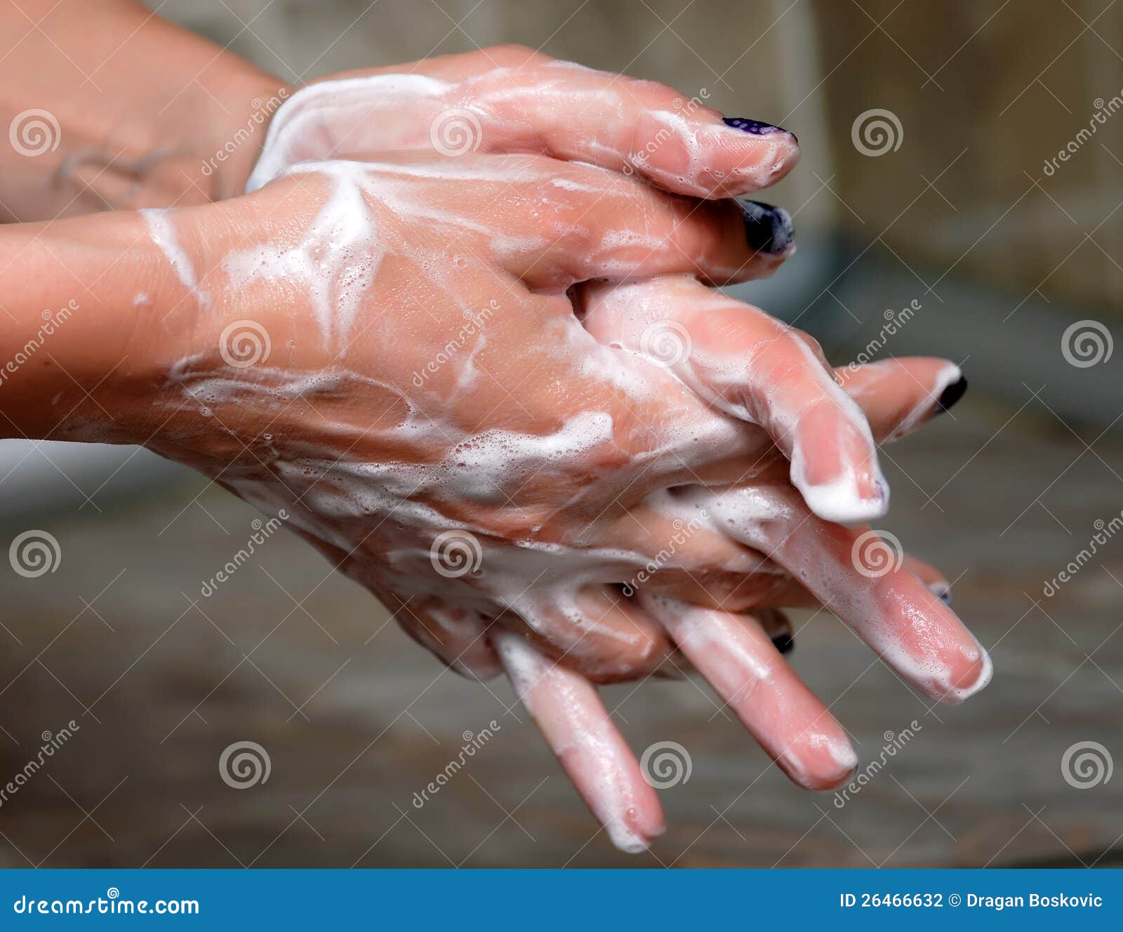 Clean hands stock photo. Image of palm, disinfectant - 26466632