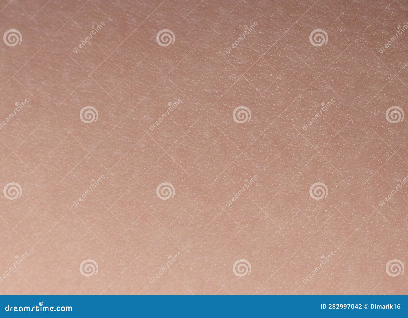 Clean human skin pattern stock photo. Image of detail - 282997042