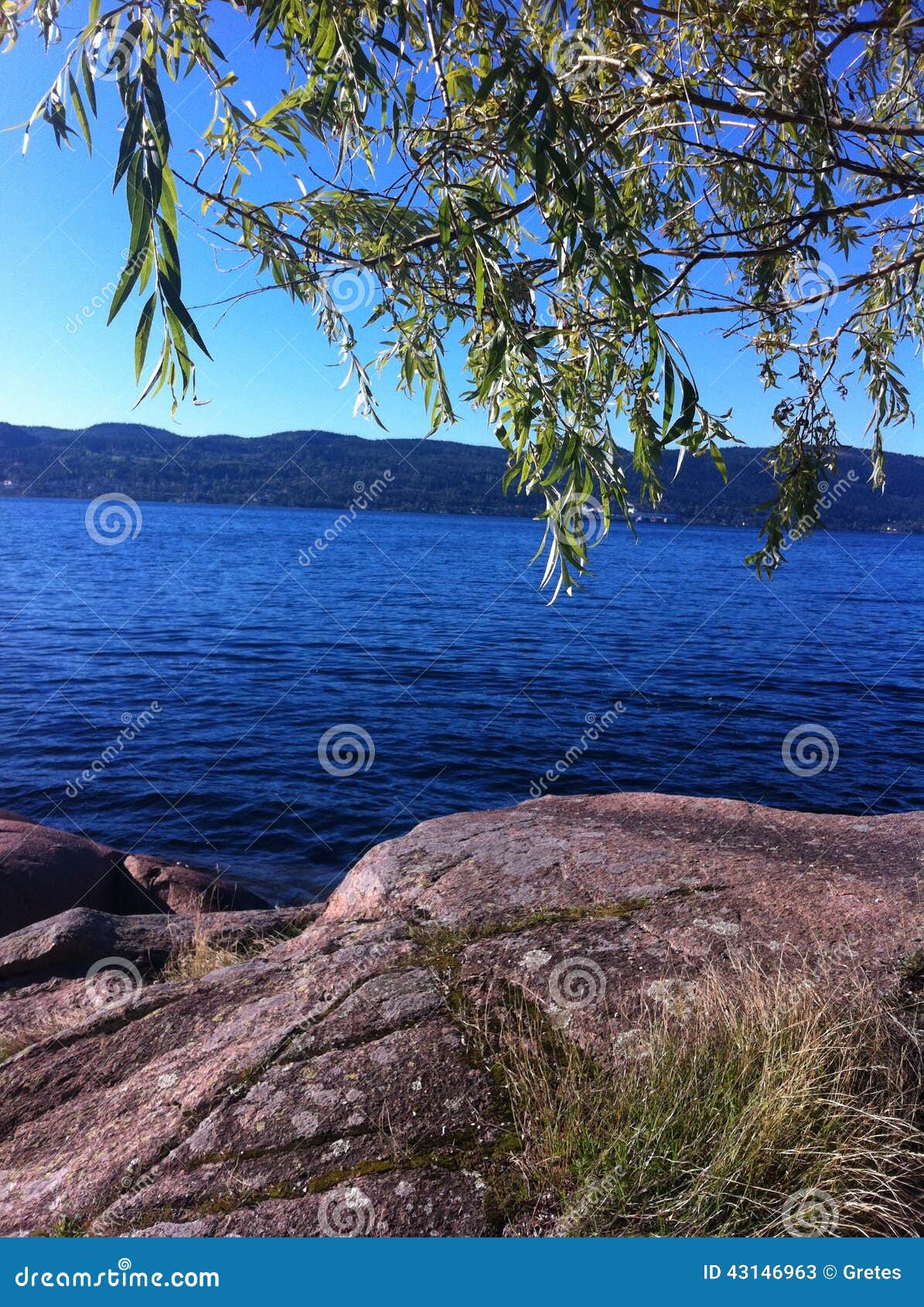 Clean lake in green spring stock image. Image of blue - 43146963