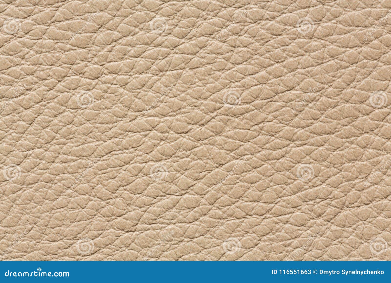 Clean Leather Texture in Classic Light Colour. Stock Image - Image of ...