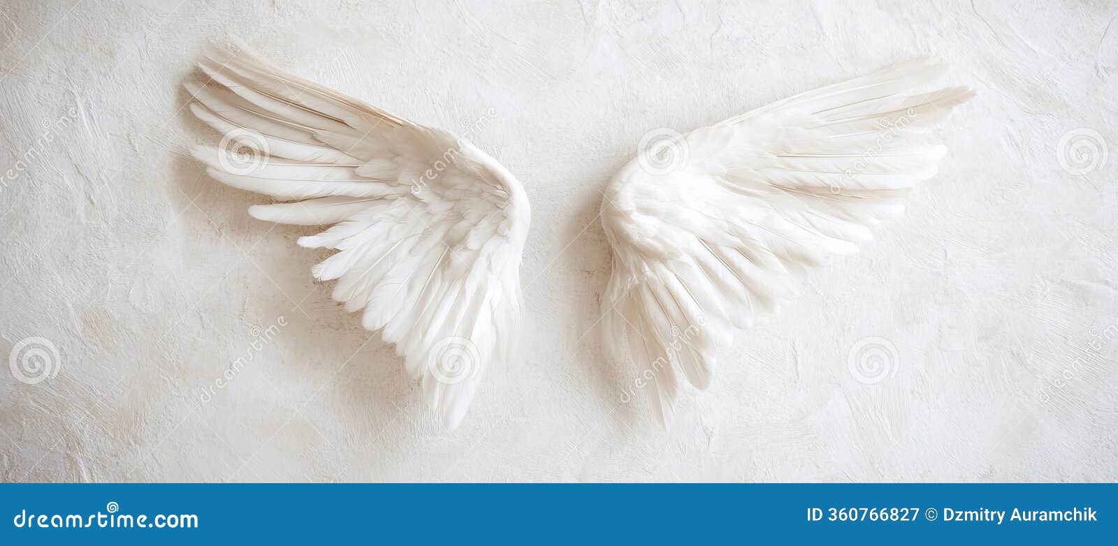 A Clean, Minimalist Layout with Grey Angel Wings on White, Providing ...