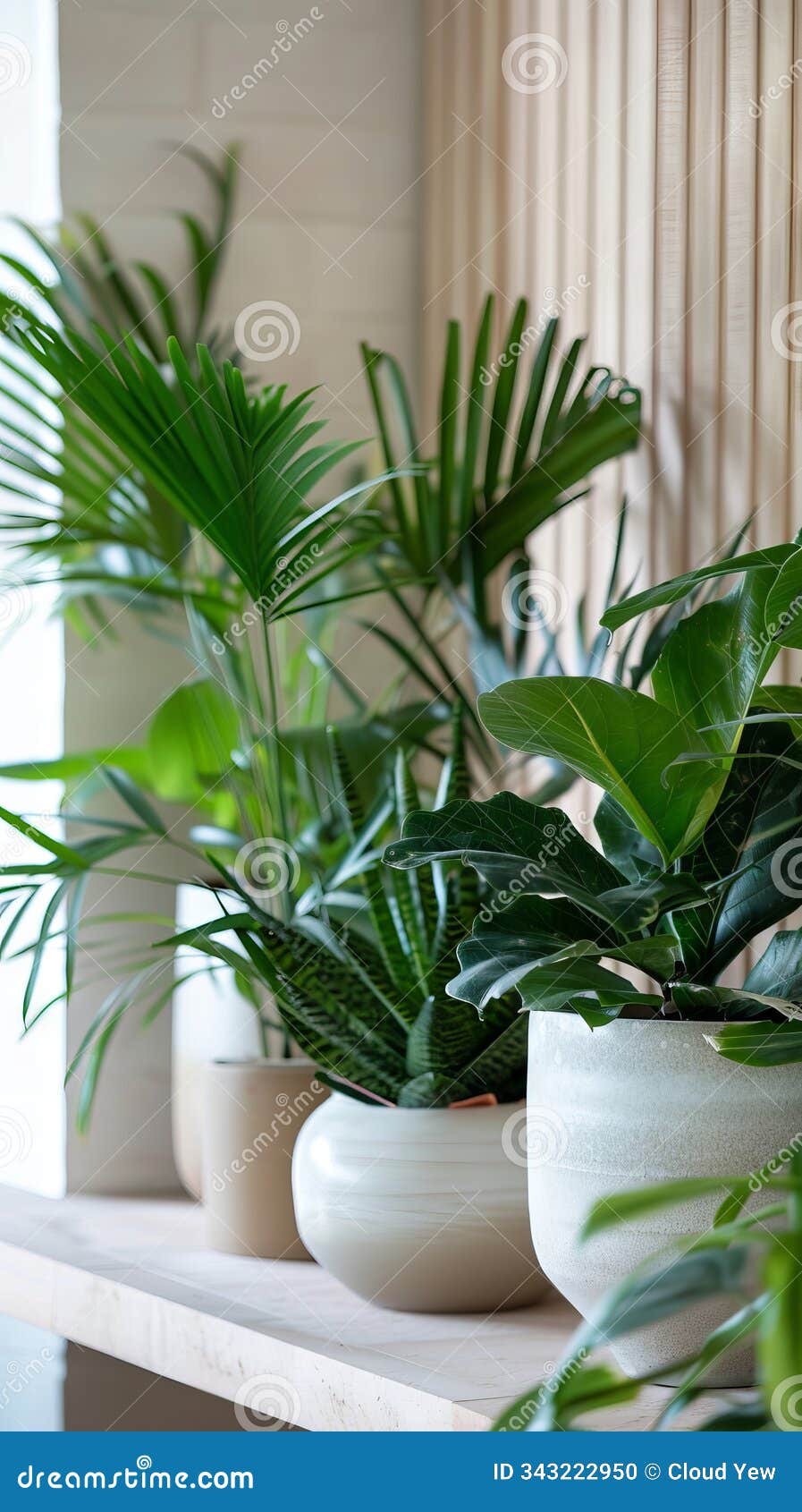 Clean and Modern Plant Setup Featuring Text Space Stock Illustration ...