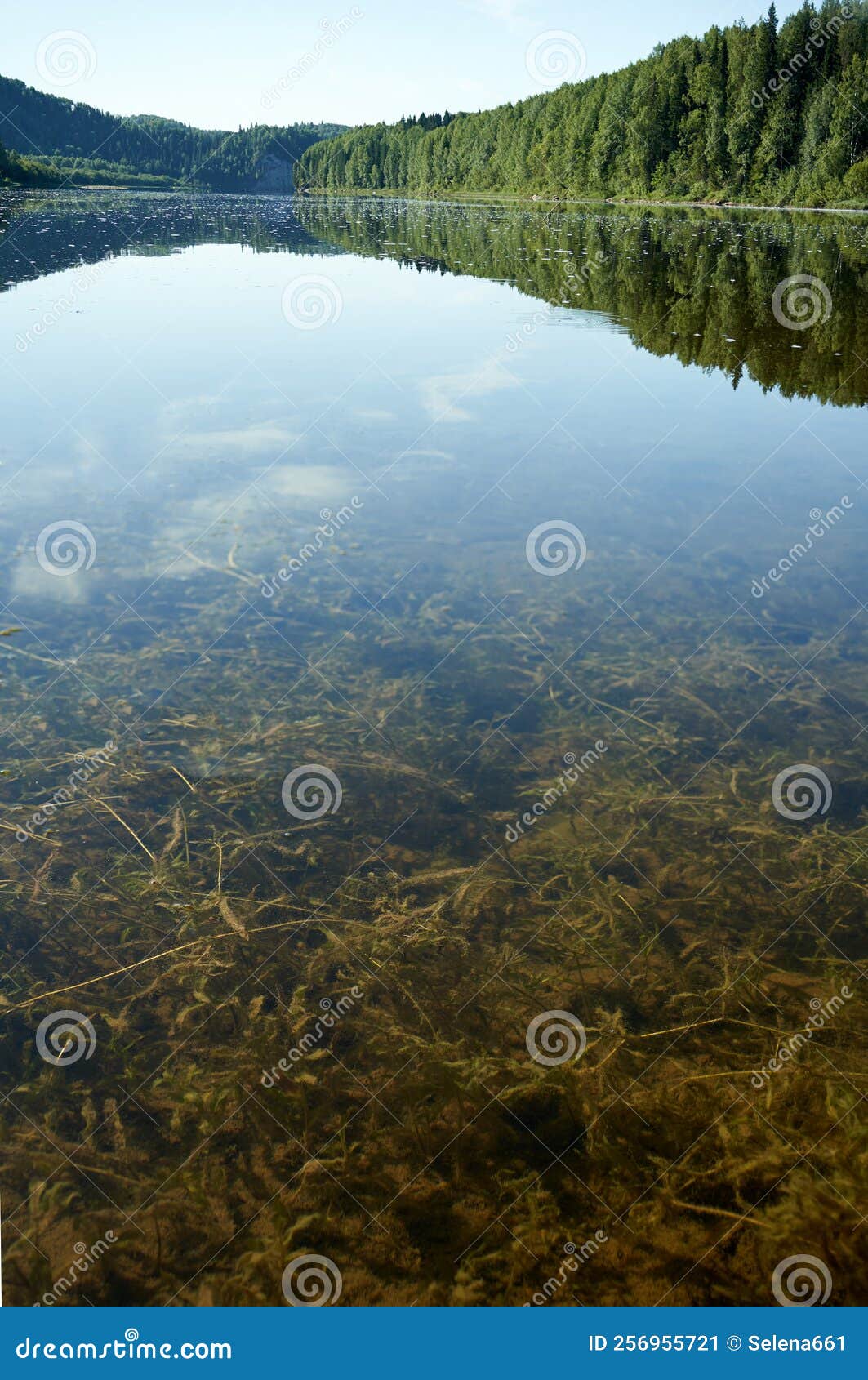 A Clean Mountain River with Algae at the Bottom Leads To Mountains ...