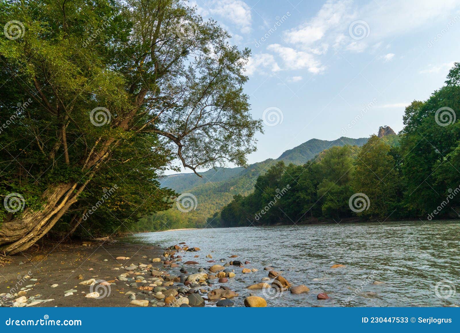 Clean mountain river stock image. Image of fresh, hiking - 230447533