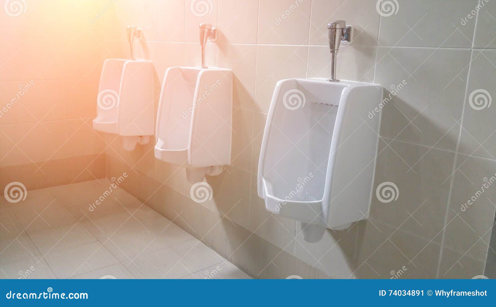 Clean New Public Toilet Room Empty Stock Image - Image of toilet, cool ...