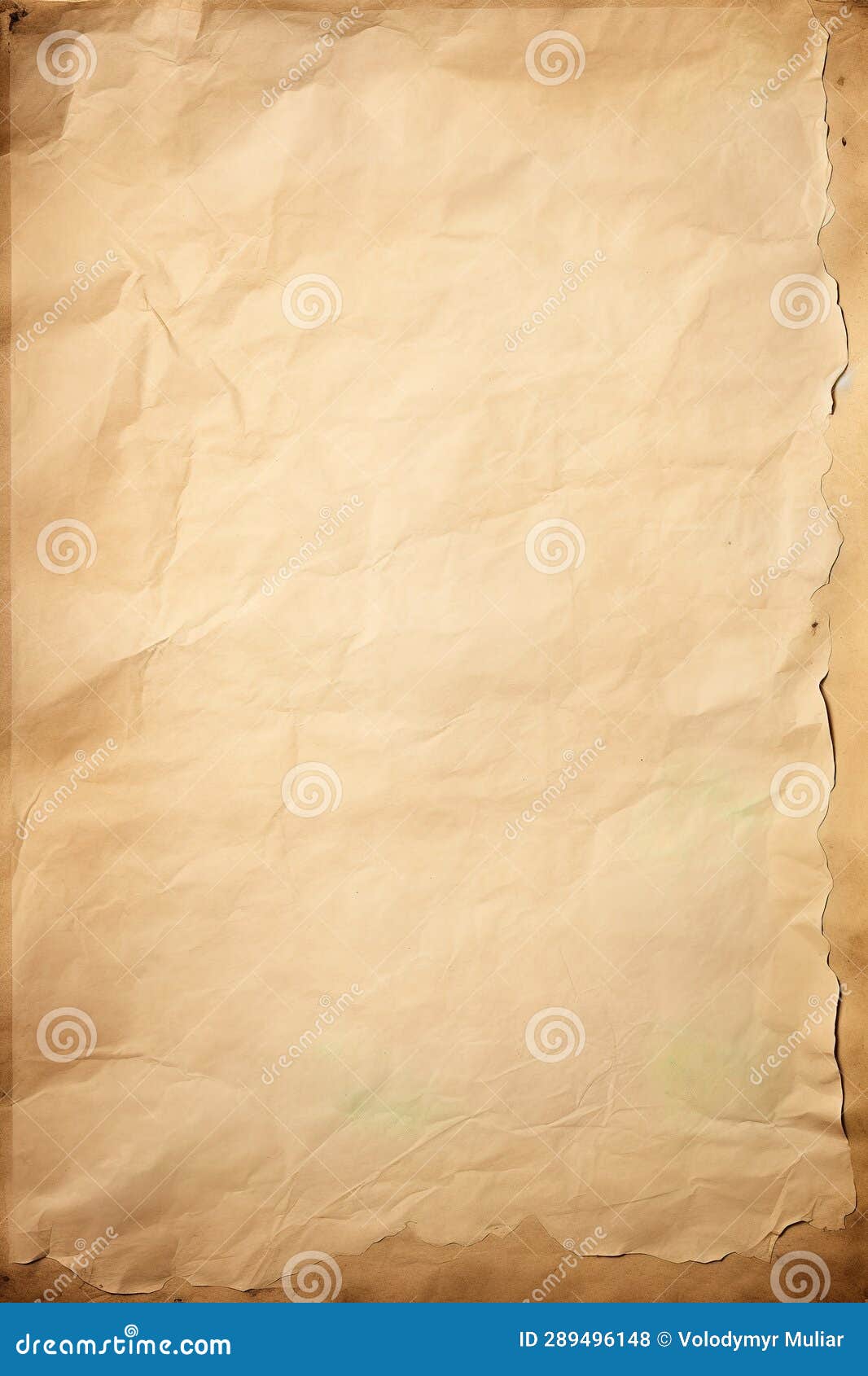 Clean Old Crumpled Parchment Paper with Torn Edges Stock Illustration ...