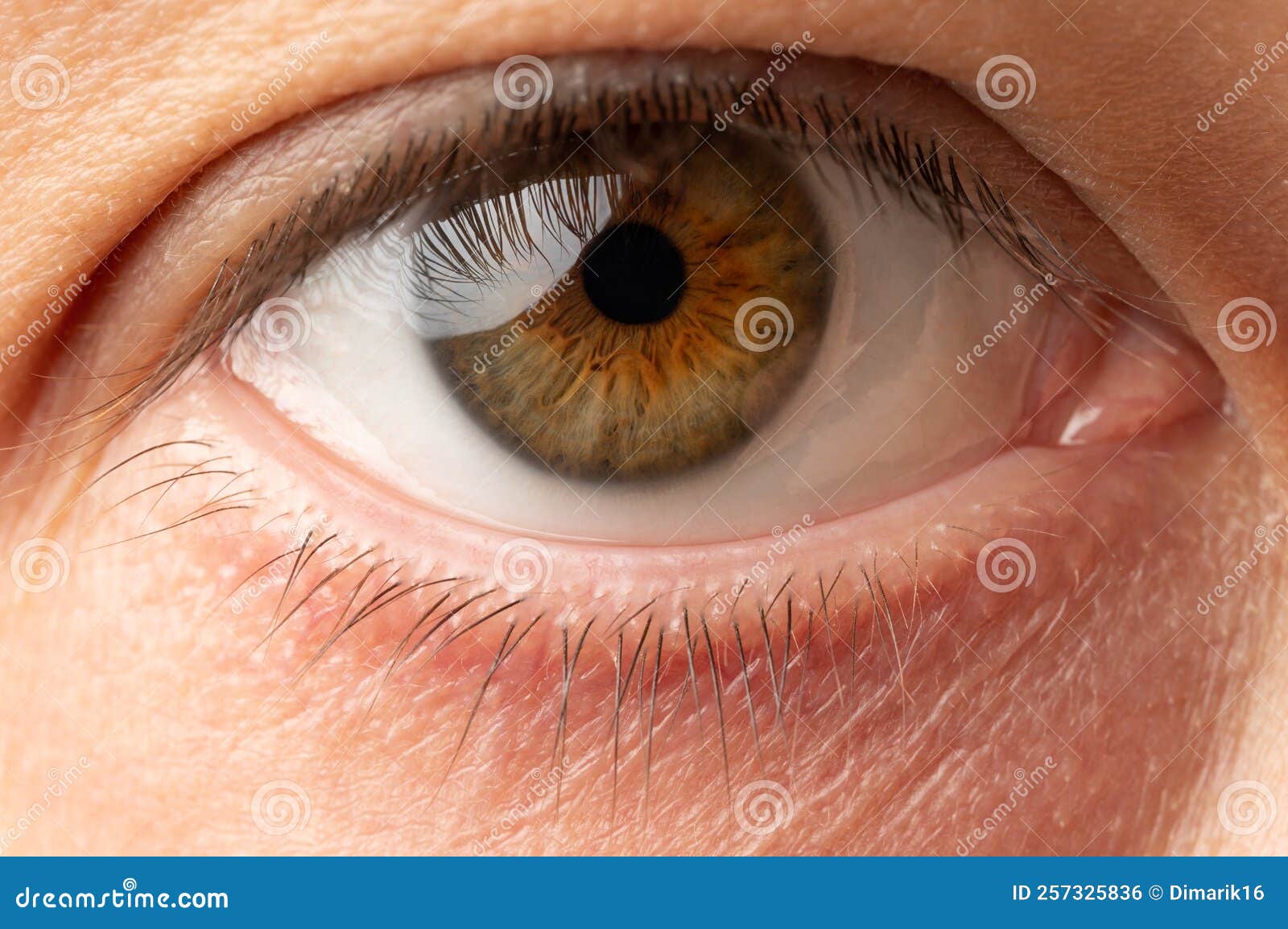Clean open human eye stock photo. Image of structure - 257325836