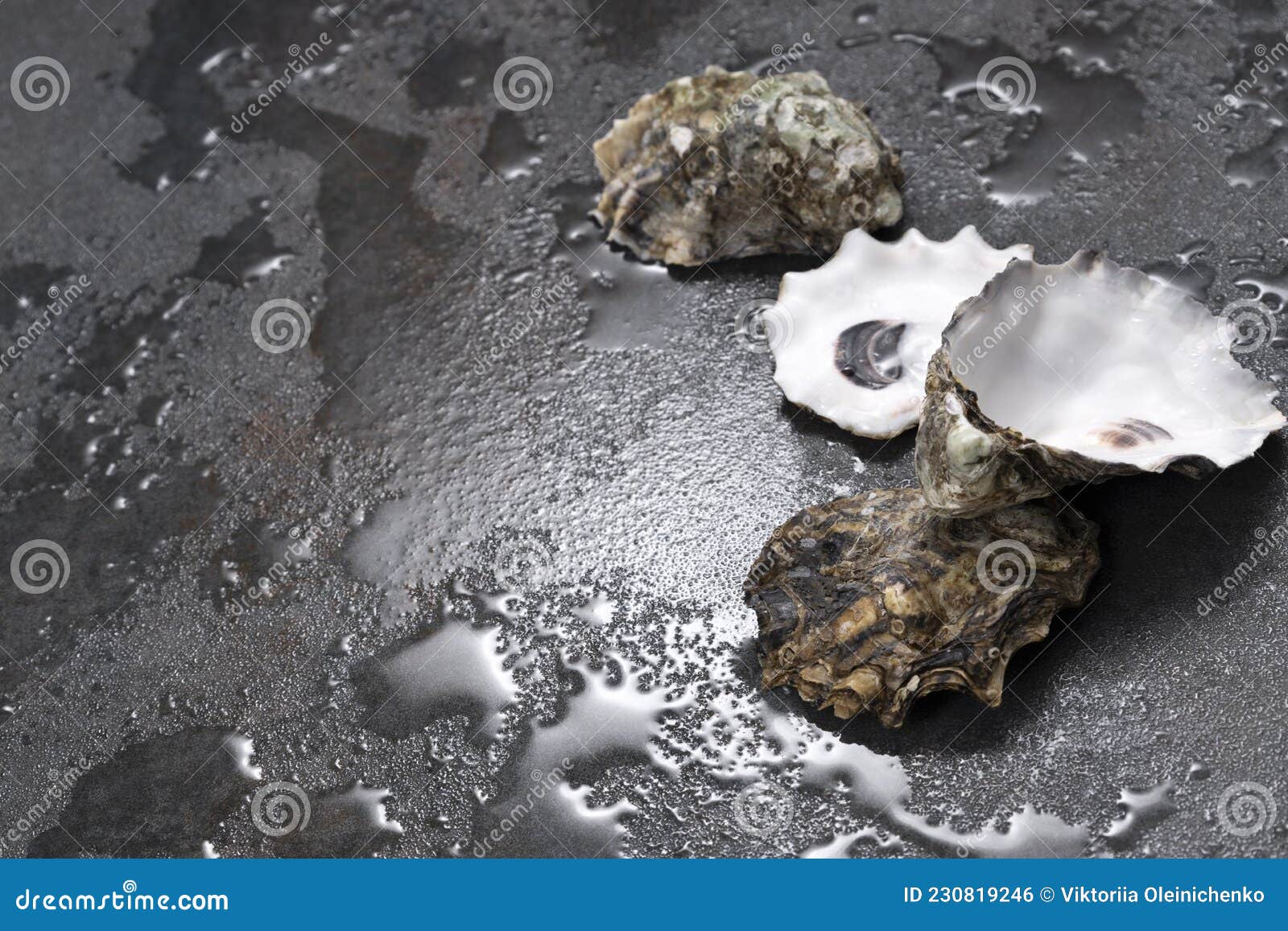 Clean Oysters Shells on the Wet Grey Stone Surface.Free Space for ...