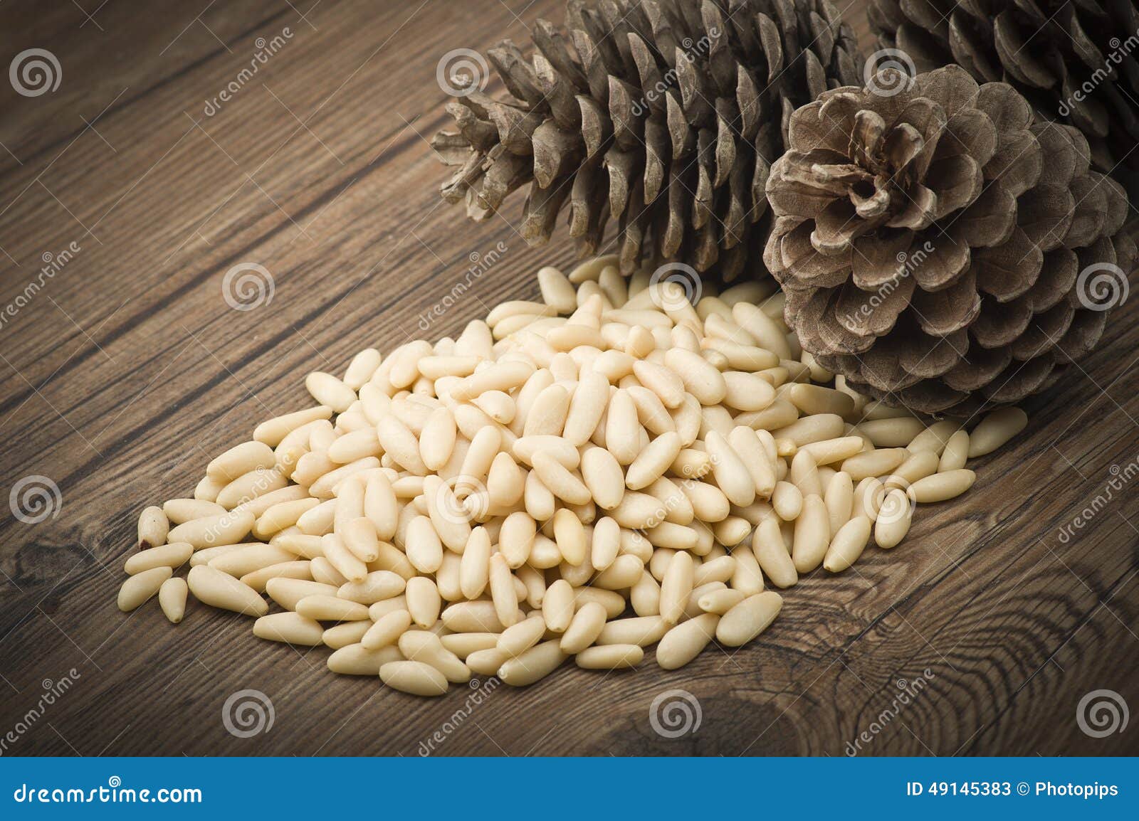 Clean pine nuts stock image. Image of conifer, nuts, close - 49145383