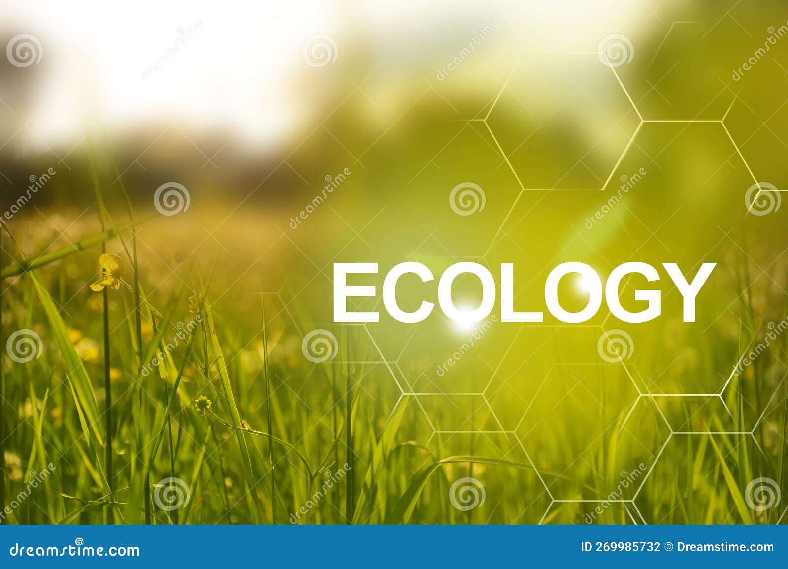 Ecosystem safe environment stock photo. Image of electricity - 269985732