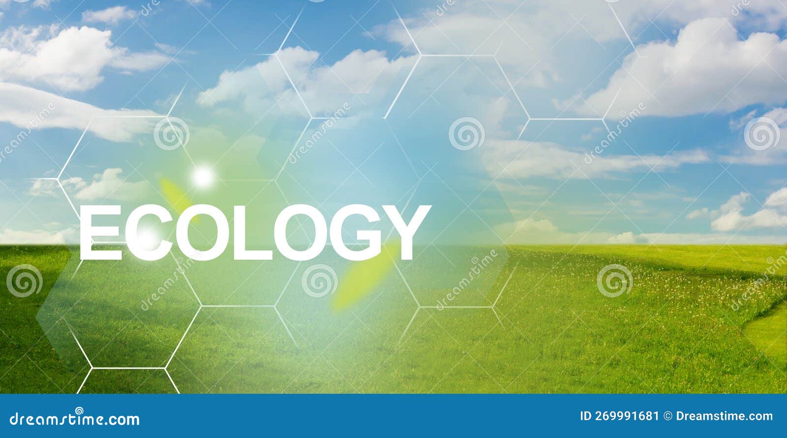 Clean Plants on Field and Bright Sunlight To the Good Ecological Future ...