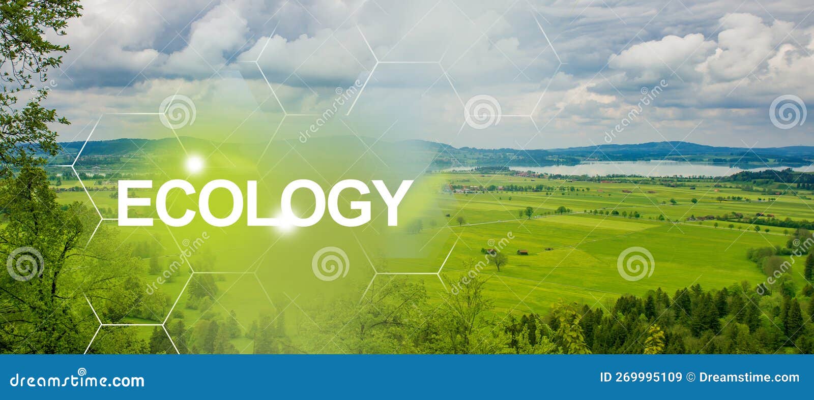 Clean Plants on Field and Bright Sunlight. Ecology Concept Stock Image ...