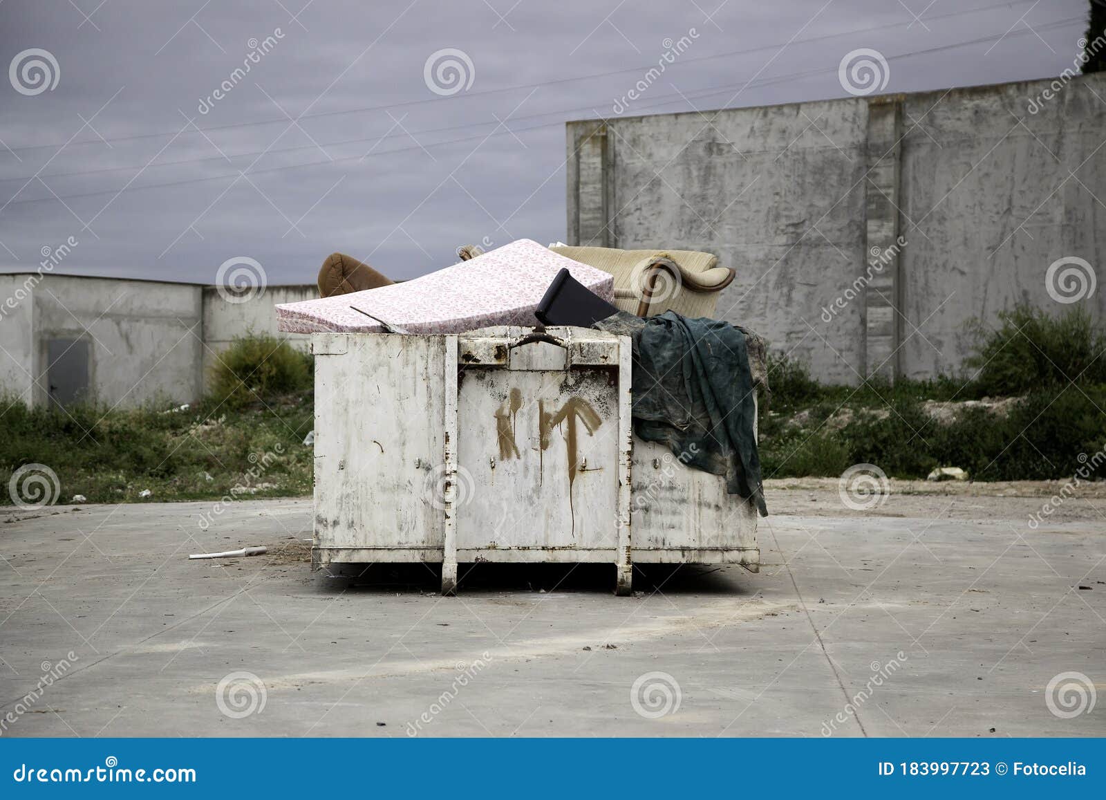 Clean point container stock image. Image of pine, outdoor - 183997723