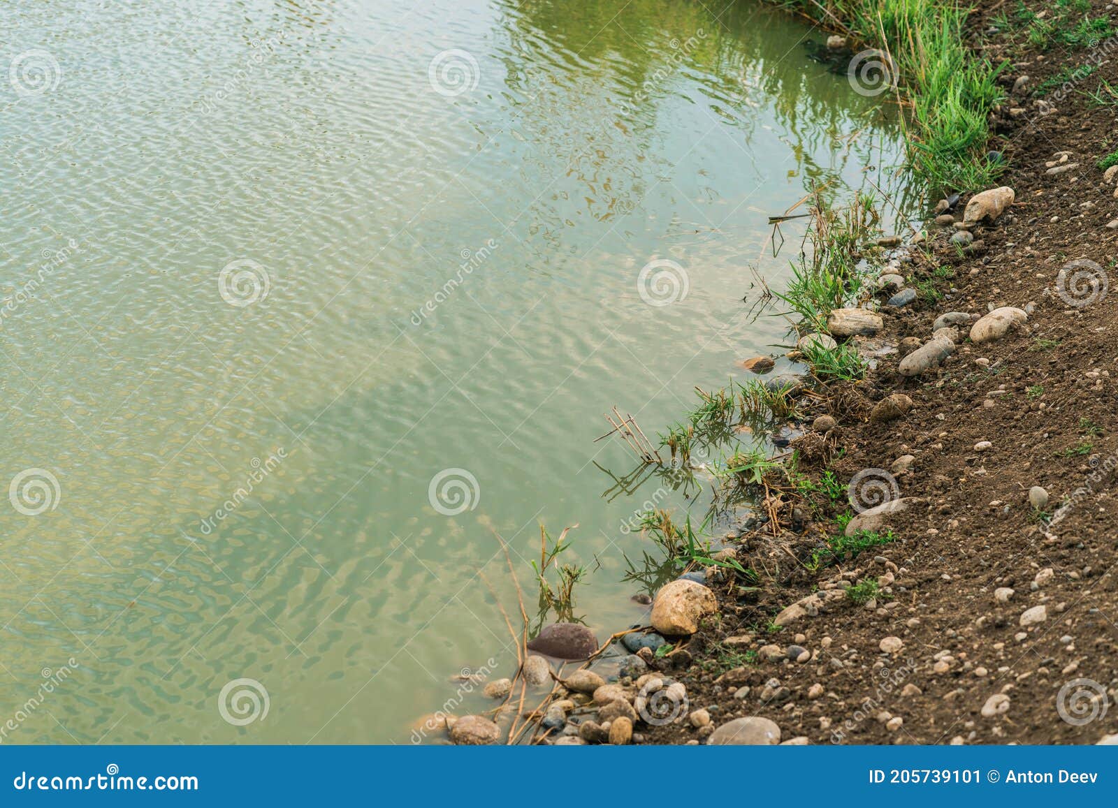 Clean Pond in Countryside. Close Up of Pond in Summertime. Stock Image ...