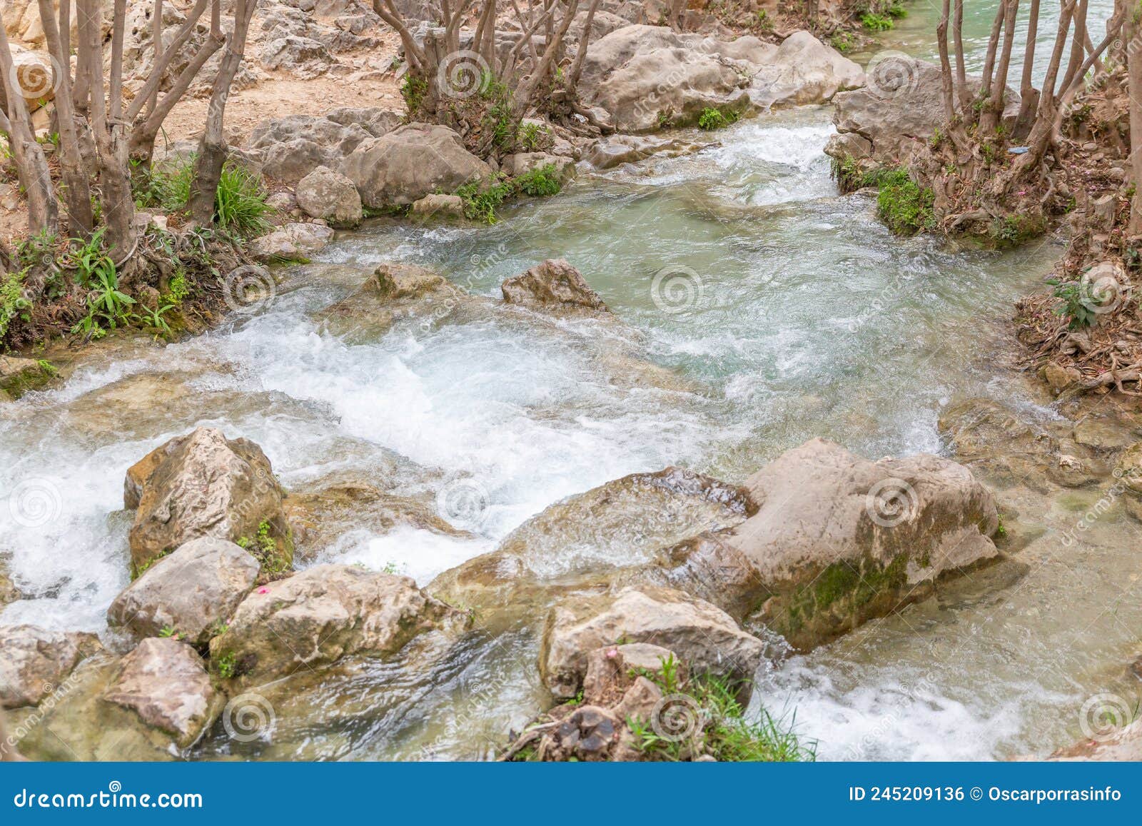 Clean and Pure Spring Water Running between the Rocks Stock Photo ...