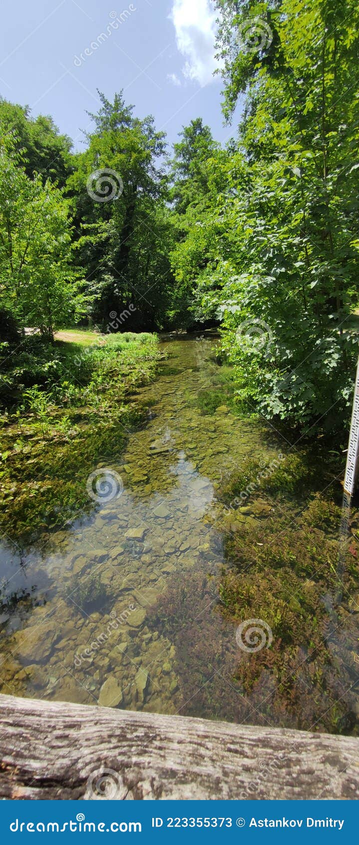 Clean river beautiful view stock image. Image of flower - 223355373