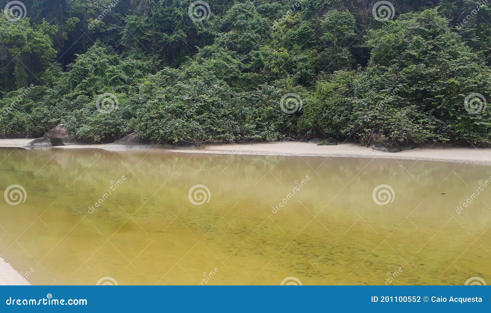 Clean River Flows into the Tropical Rainforest Stock Photo - Image of ...