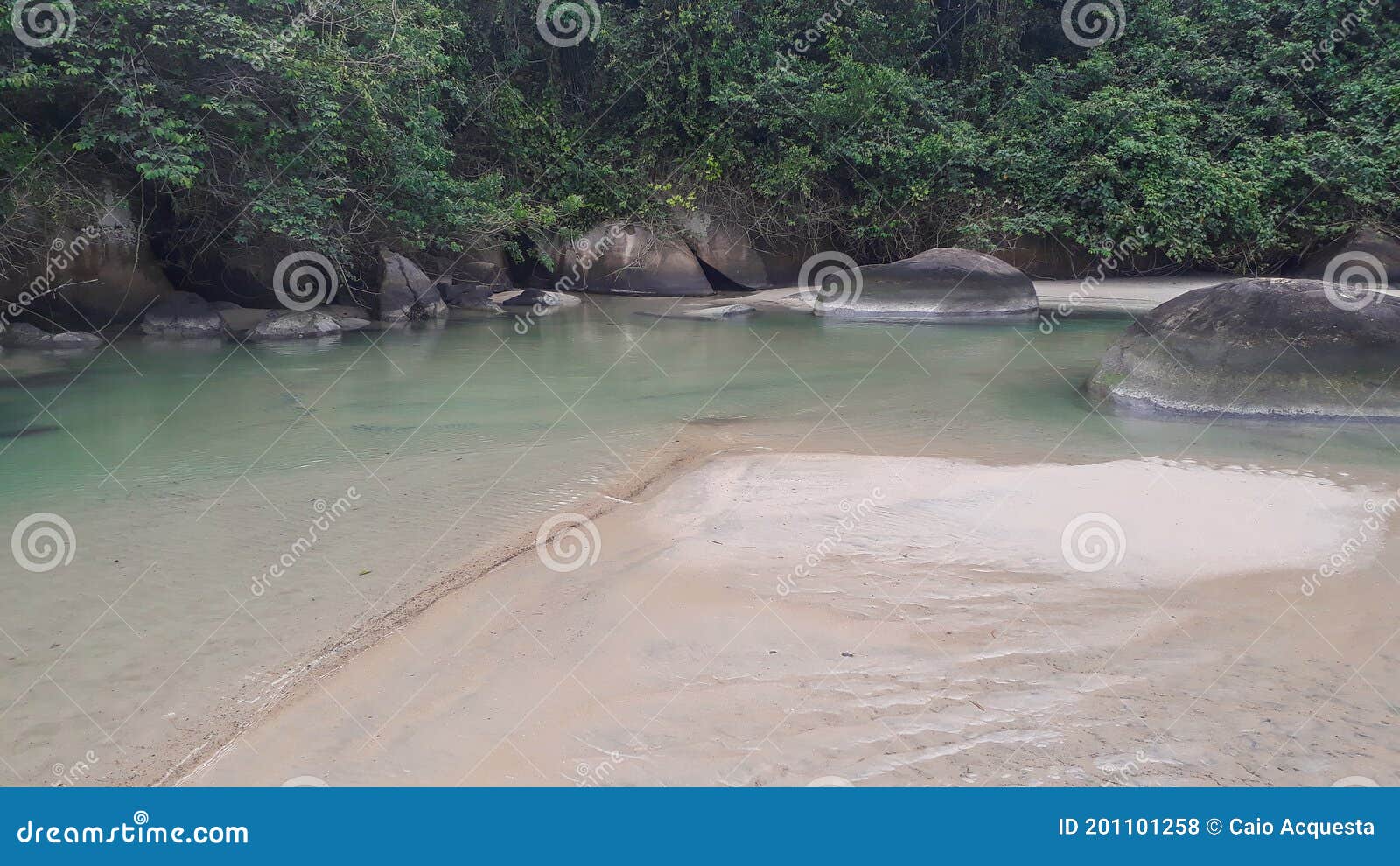 Clean River Flows into the Tropical Rainforest Stock Photo - Image of ...