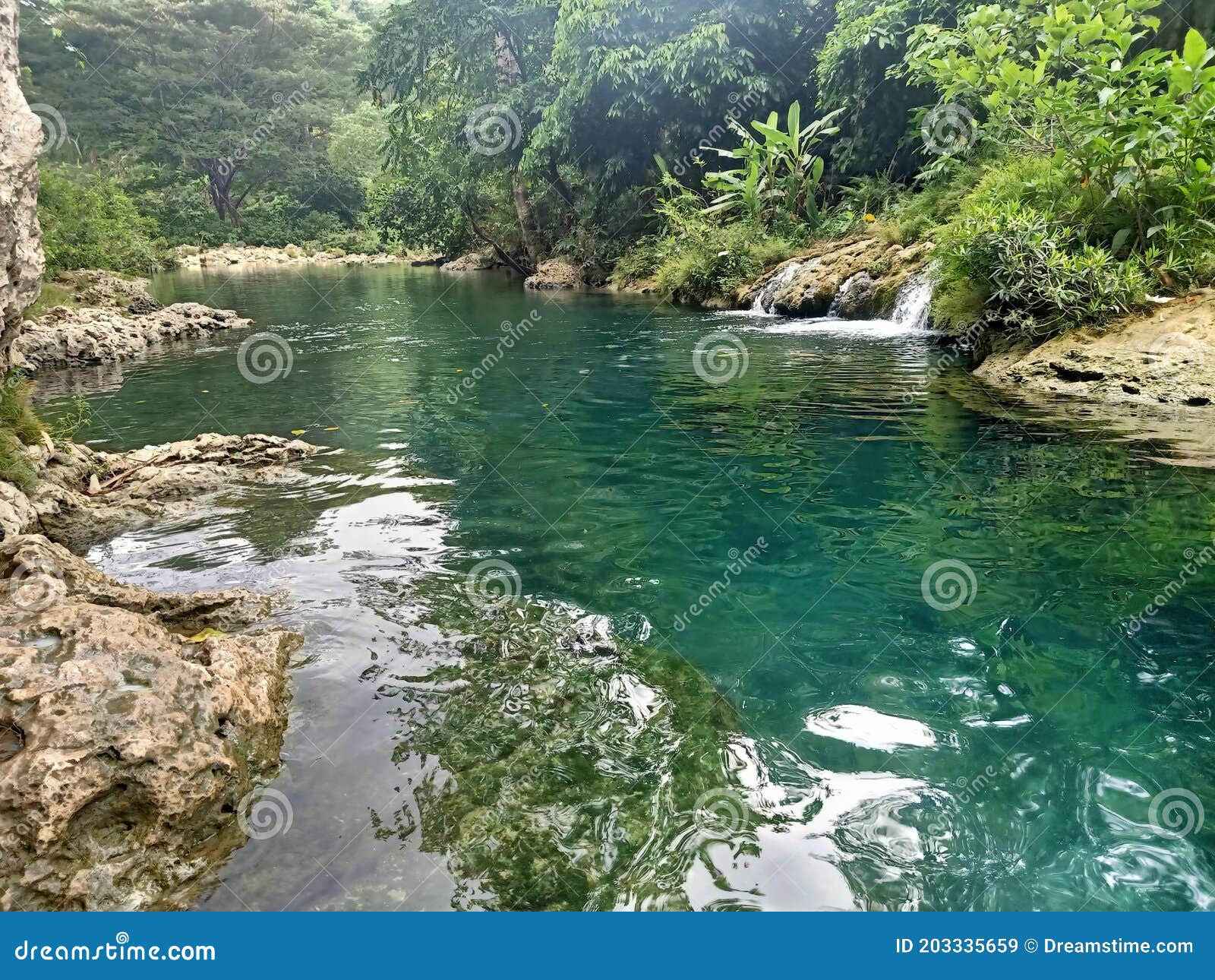 The clean river in nature stock image. Image of creek - 203335659