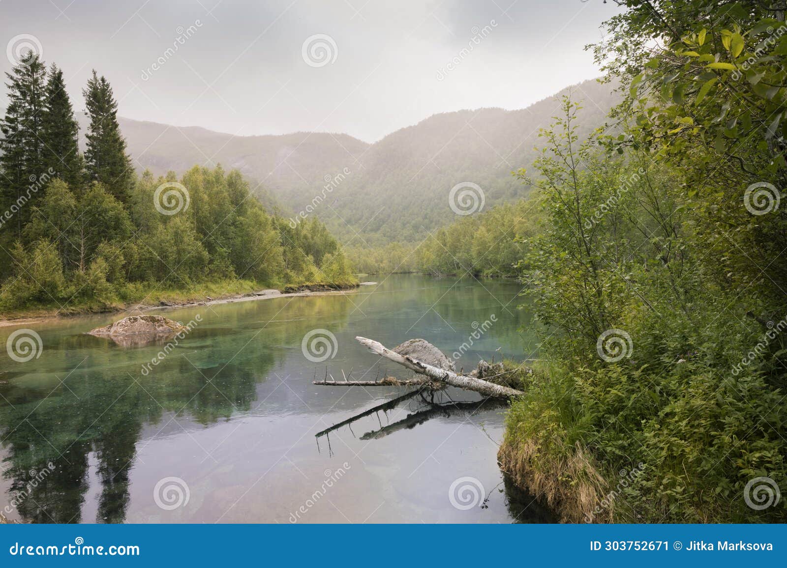 Clean river in Rago NP stock image. Image of quiet, summer - 303752671