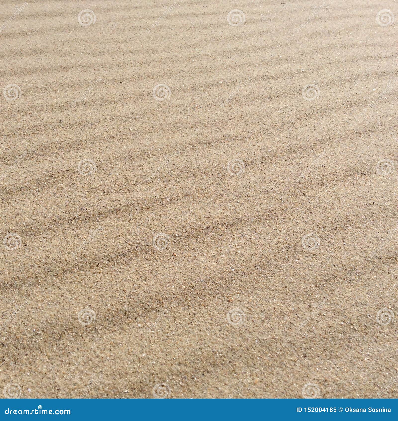 Sandy beach stock image. Image of sandy, clean, wonderful - 152004185