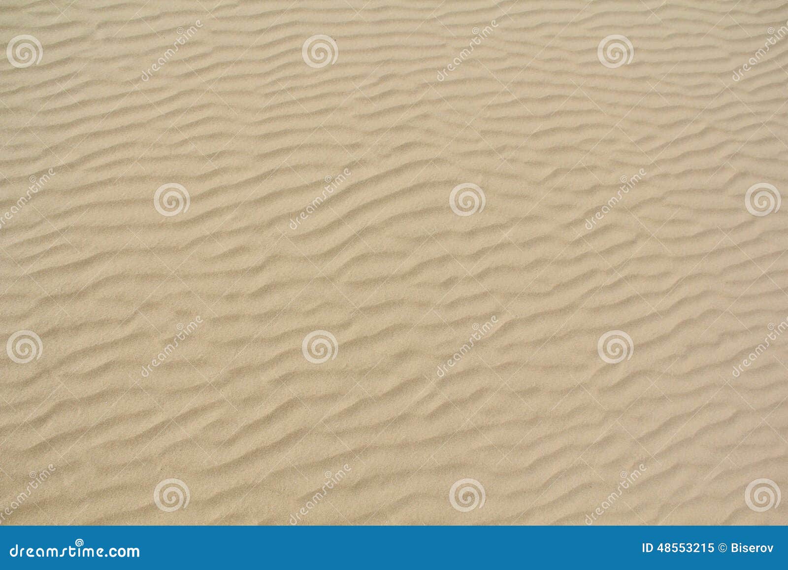 Clean Sand Blasted Metal Texture. Unscratched Surface. Silver Colored ...