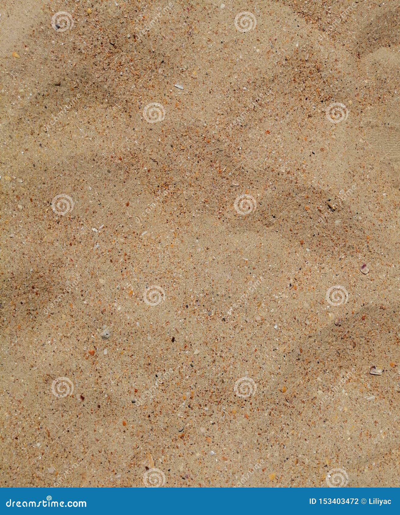 Uniform Texture Of A Dense Cardboard Sheet Royalty-Free Stock Image ...