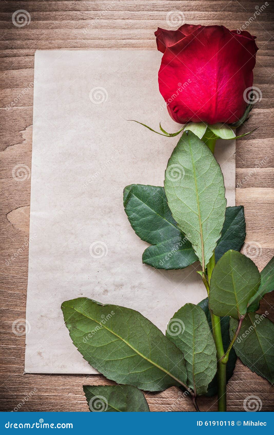 Clean Sheet of Paper with Red Rose Holiday Concept Stock Photo - Image ...