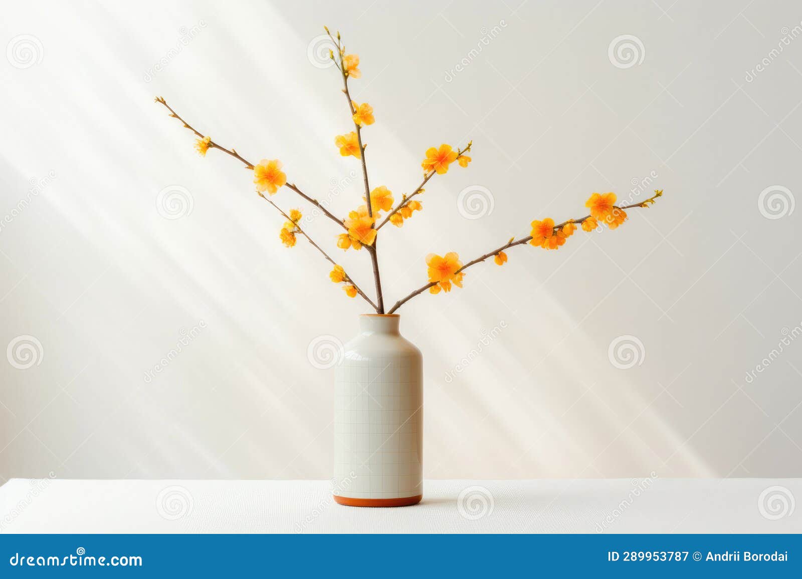 Clean and Simple Vase Composition. Stock Illustration - Illustration of ...