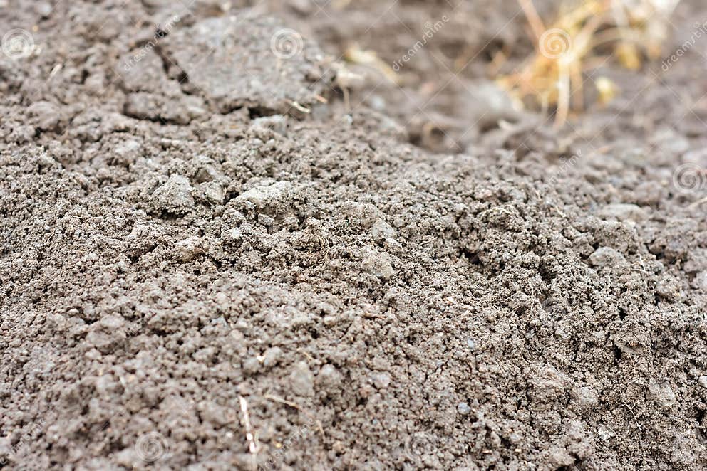 Clean Soil As a Vegetable Growing Medium Stock Image - Image of meadow ...