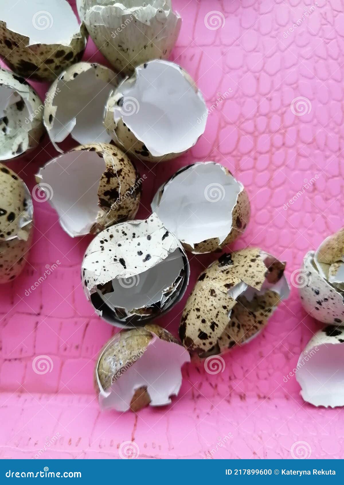 Quail Egshell Halves on Pink Background Stock Photo - Image of white ...