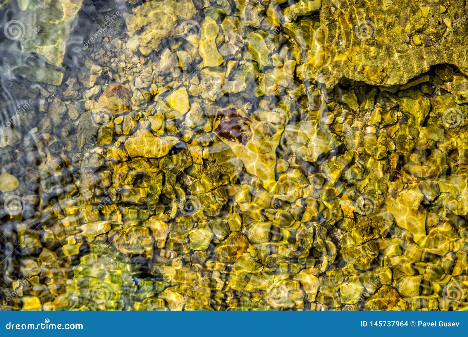 Clean Spring Water on the Background of Stones Stock Photo - Image of ...
