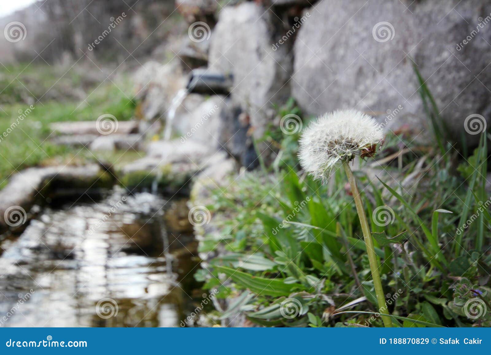 Clean spring water stock image. Image of mountain, liquid - 188870829