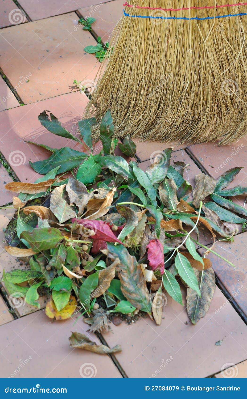 Clean Sweep Royalty-Free Stock Image | CartoonDealer.com #24092344