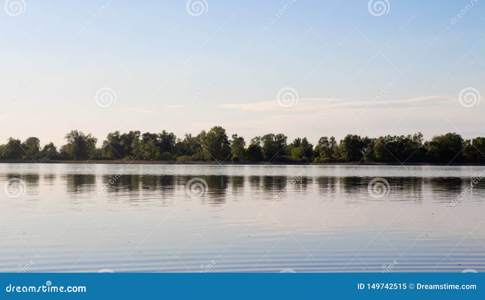 Clean and Tranquil Lake View on the Other Side Stock Image - Image of ...