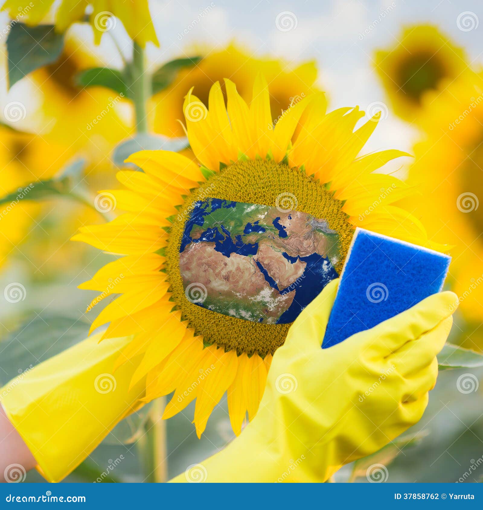 Clean up the environment stock photo. Image of outside - 37858762