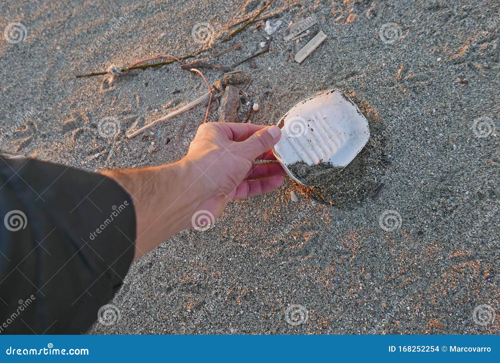 Clean up sandy beach stock photo. Image of dirty, summer - 168252254