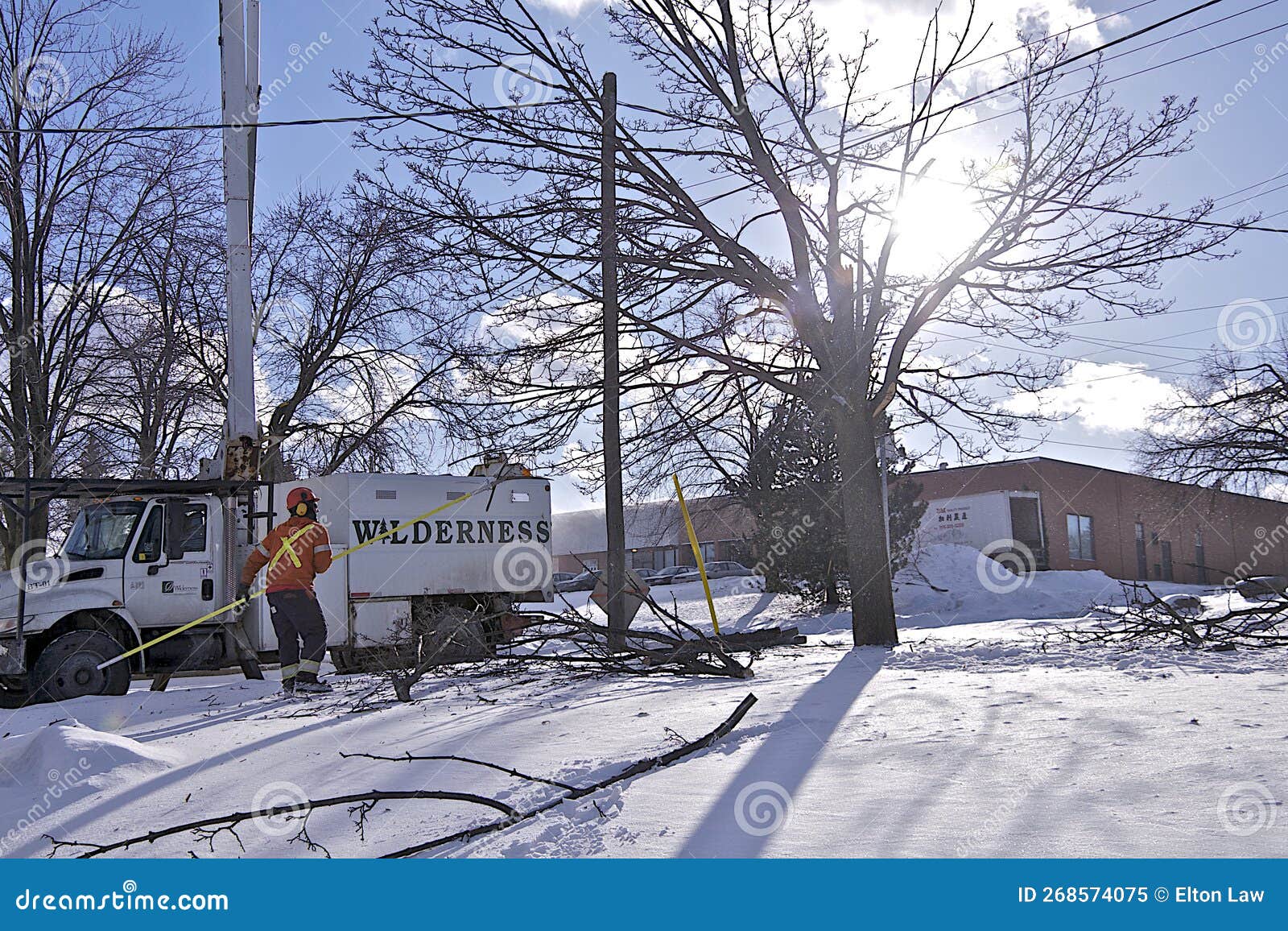 Clean Up of Tree Branches after the Winter Storm Editorial Image ...