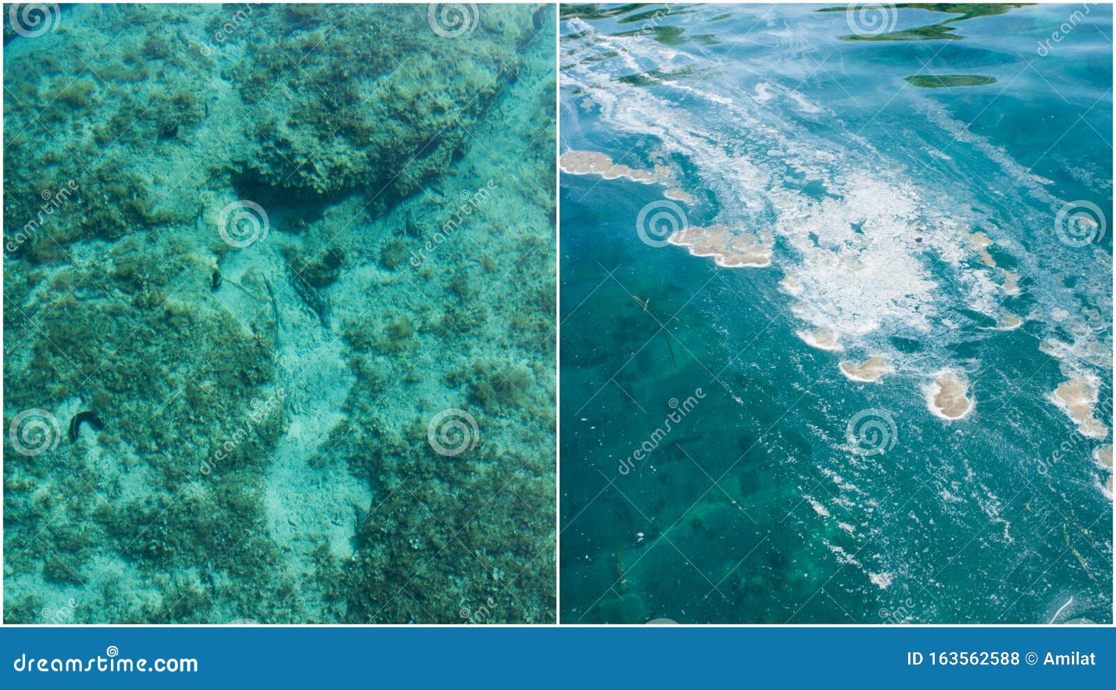 Problem Versus Solution Can Word On Scale Royalty-Free Stock Photo ...