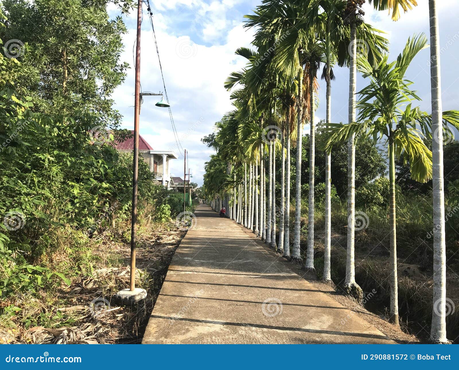 Naturally Clean Village Road in the Afternoon Stock Photo - Image of ...
