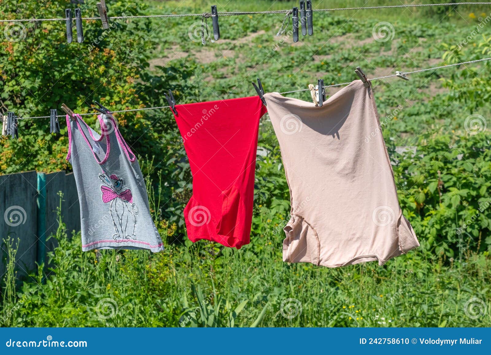 Clean Washed Clothes are Hung and Dried on a Clothesline Stock Photo ...
