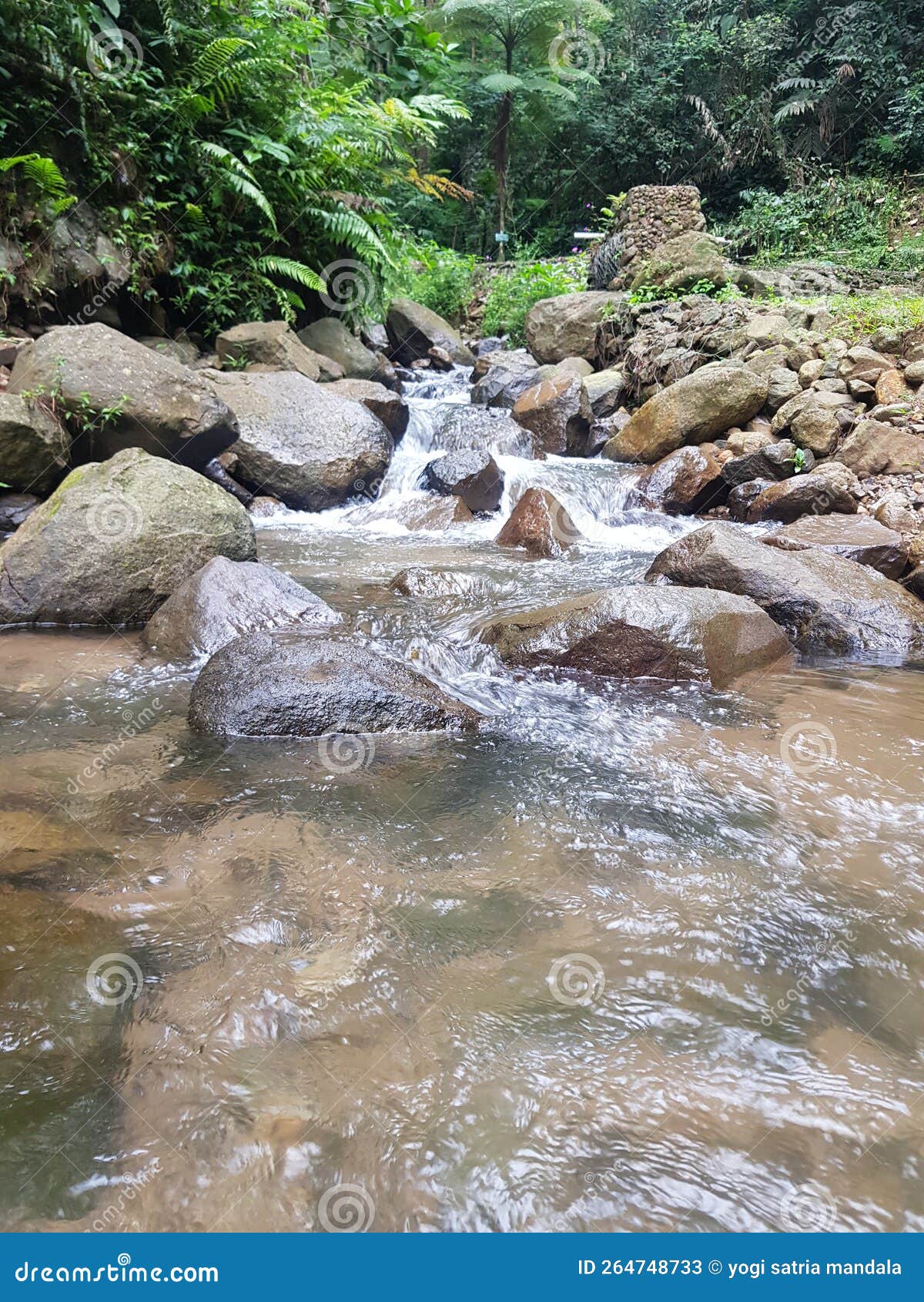 Clean Water Flows on Beautiful Rocks Stock Image - Image of jungle ...