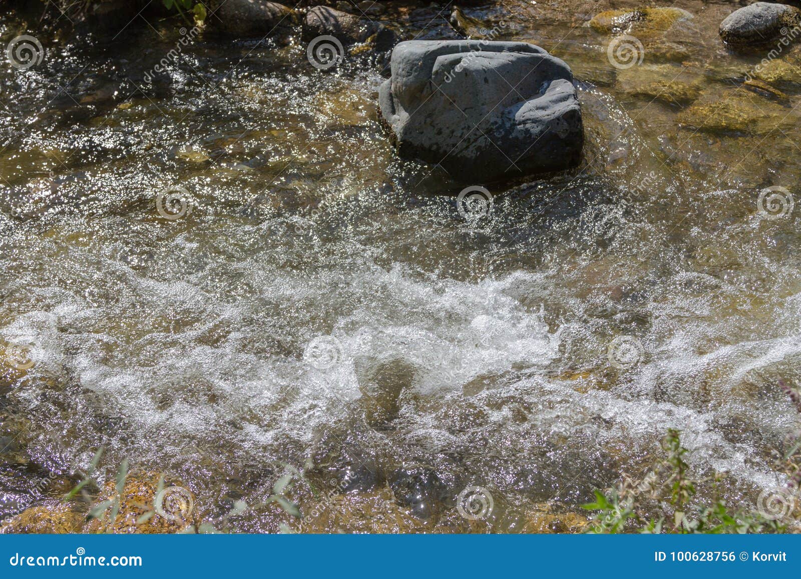 Clean Water in a Mountain Stream Stock Photo - Image of environment ...